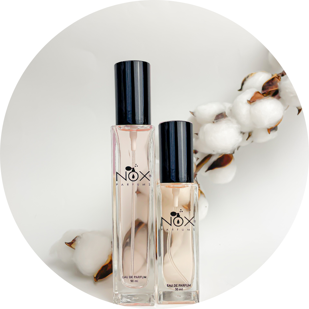 Collection homme – PARFUMS NOX