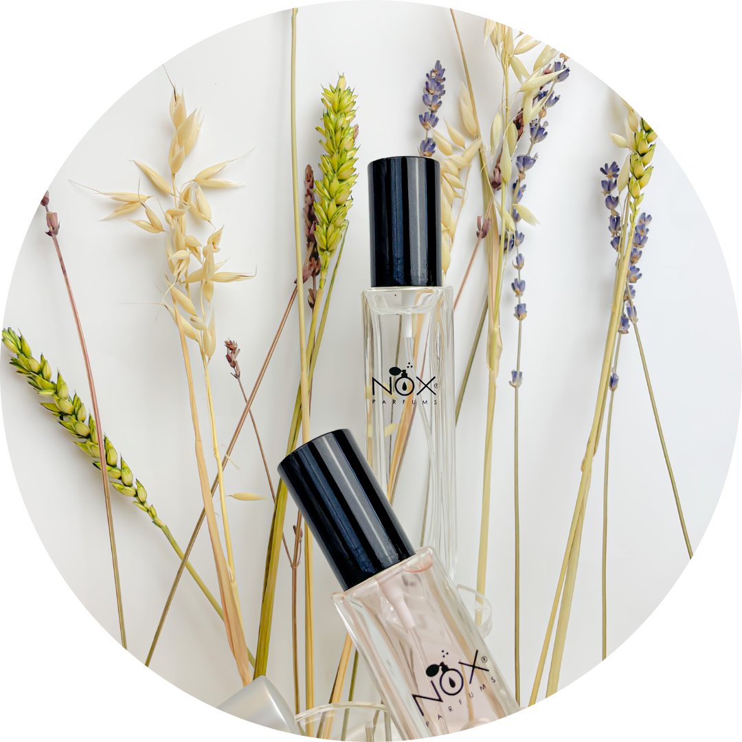 +Nox – PARFUMS NOX